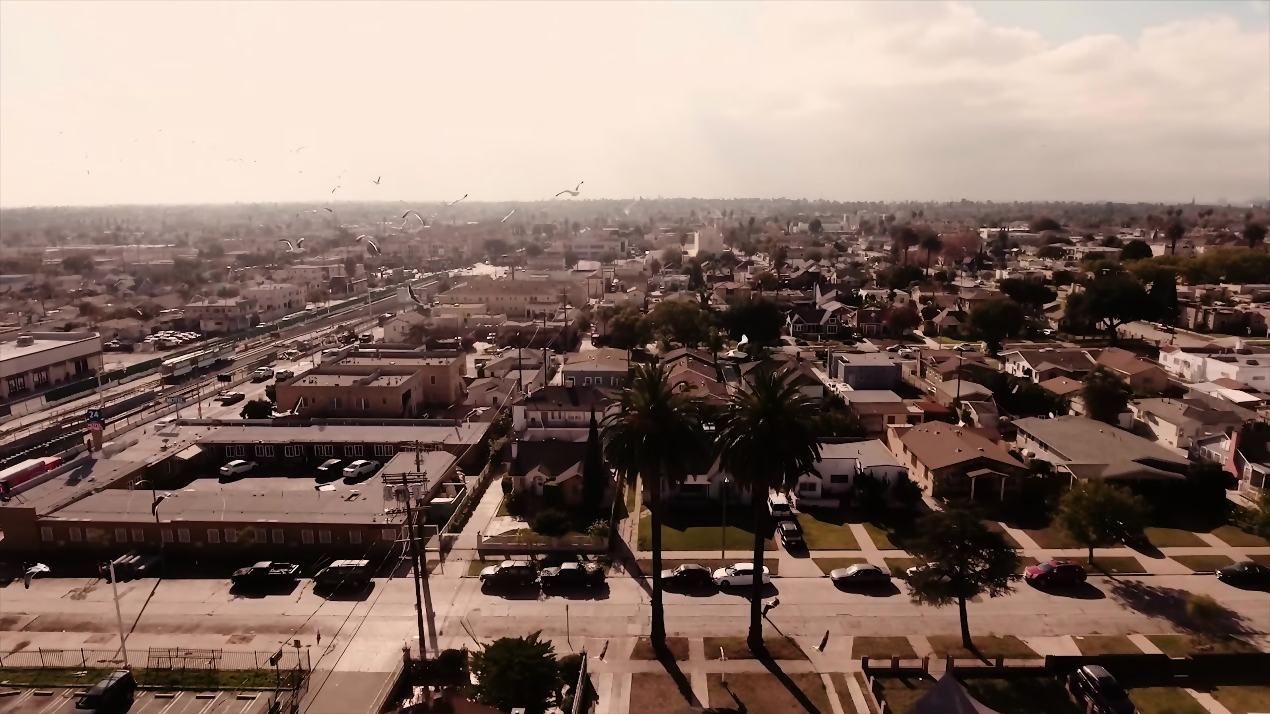 Nipsey Hustle Victory Lap Eporner