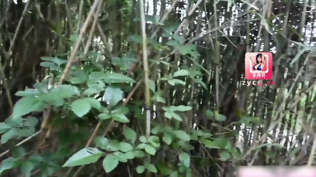 Sex In The Jungle Eporner