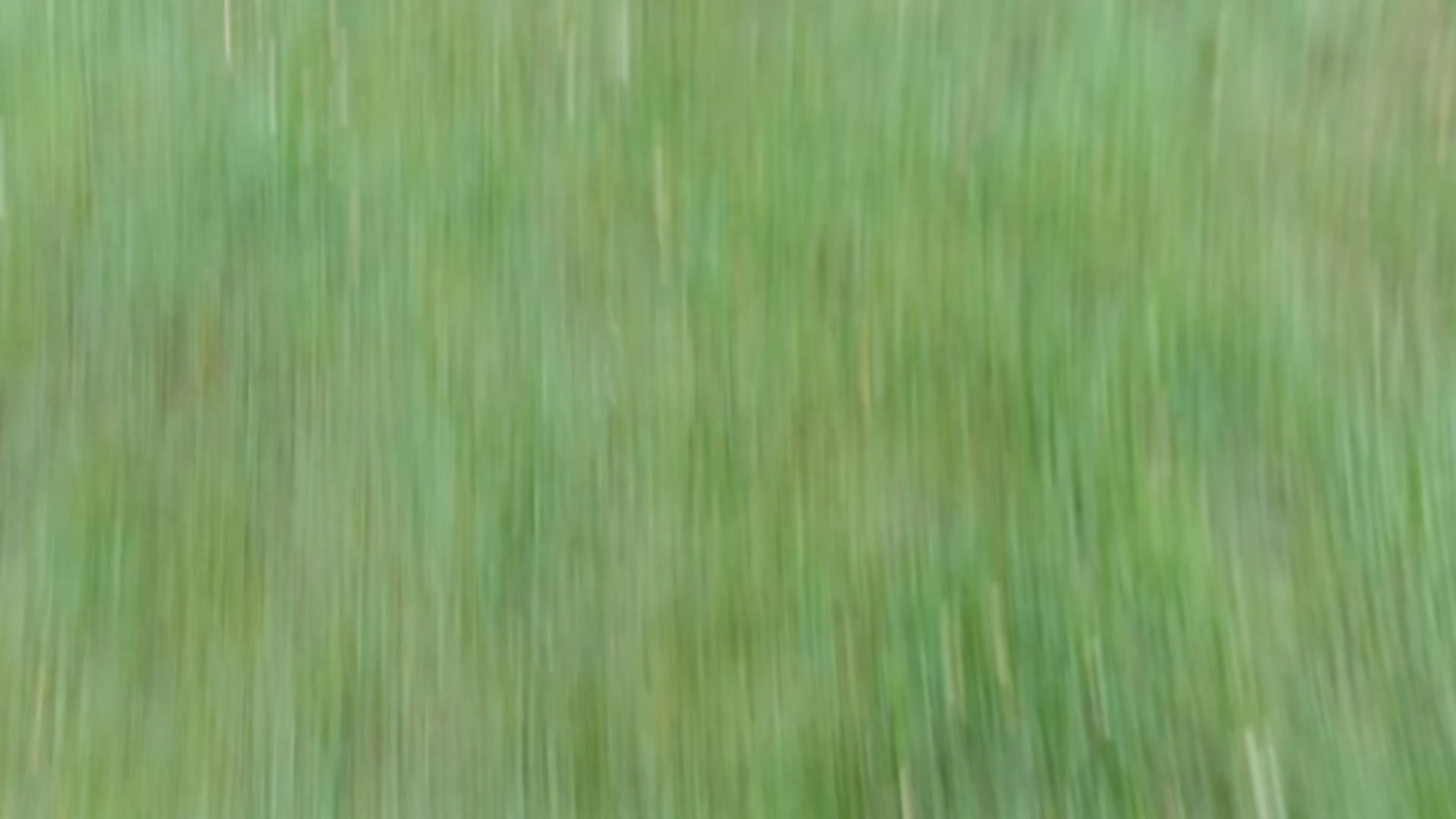 Caught Walking Naked In Field Eporner
