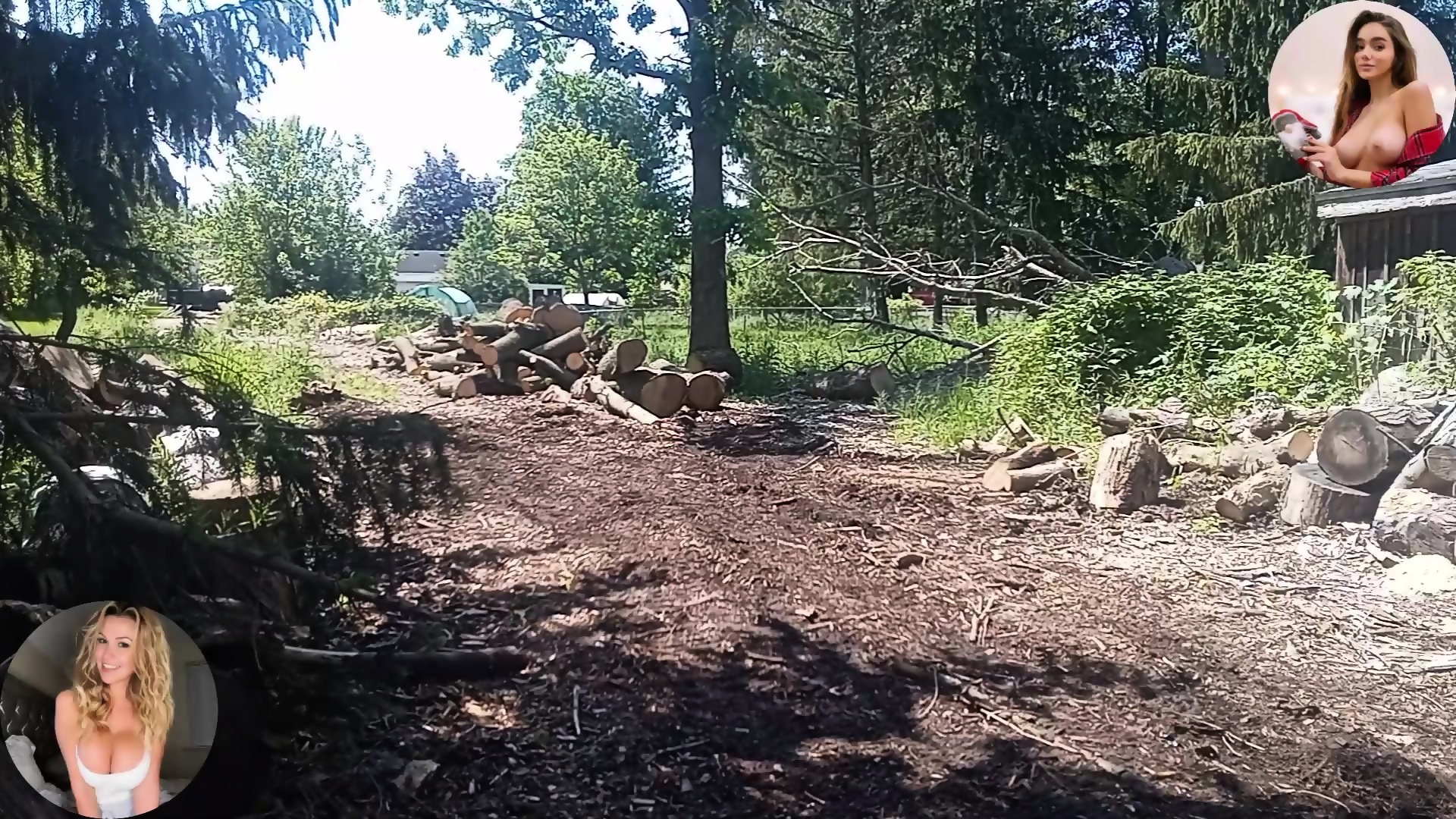 Toro Dingo Moving Some Wood Eporner