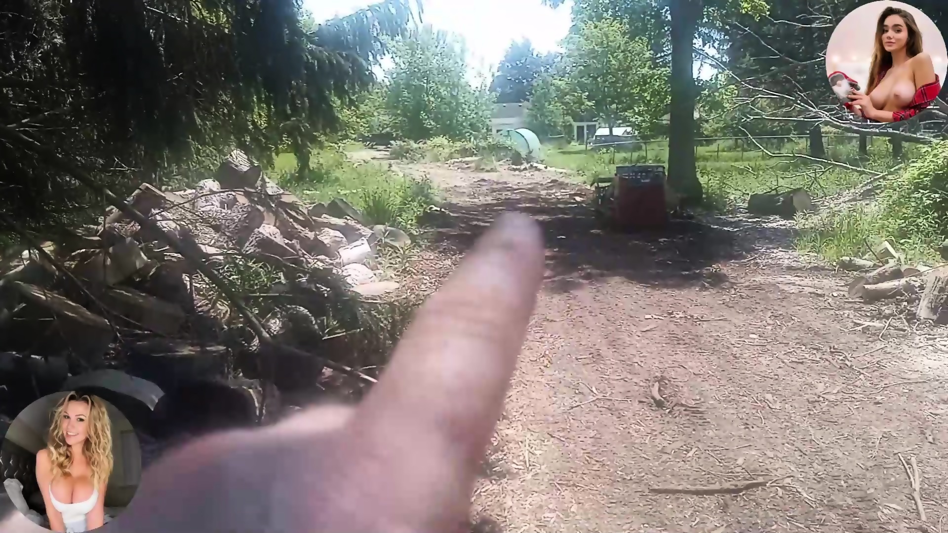 Toro Dingo Moving Some Wood Eporner