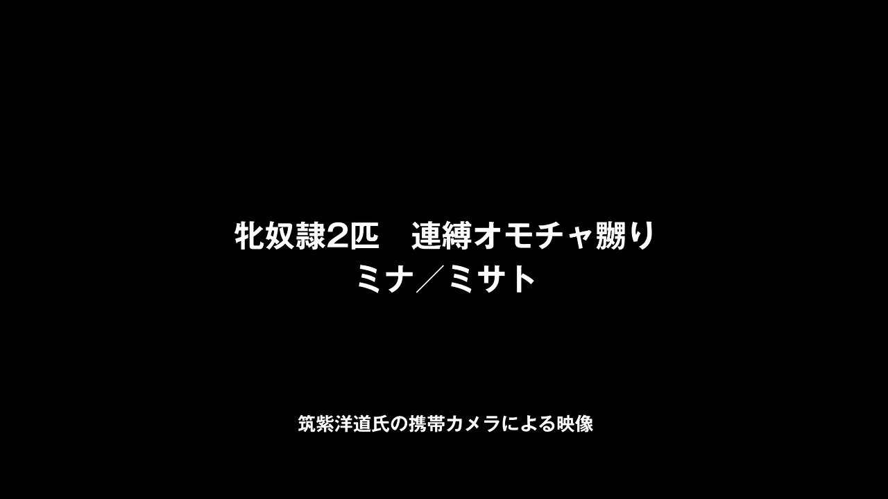 Aczd 186 家畜市場の女たち Eporner