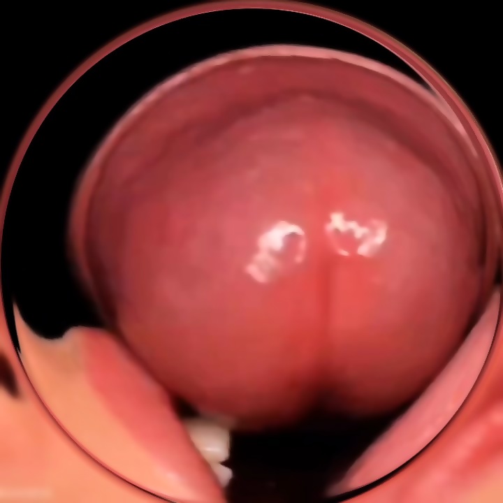 Licking Sucking And Kissing Dick With Cum