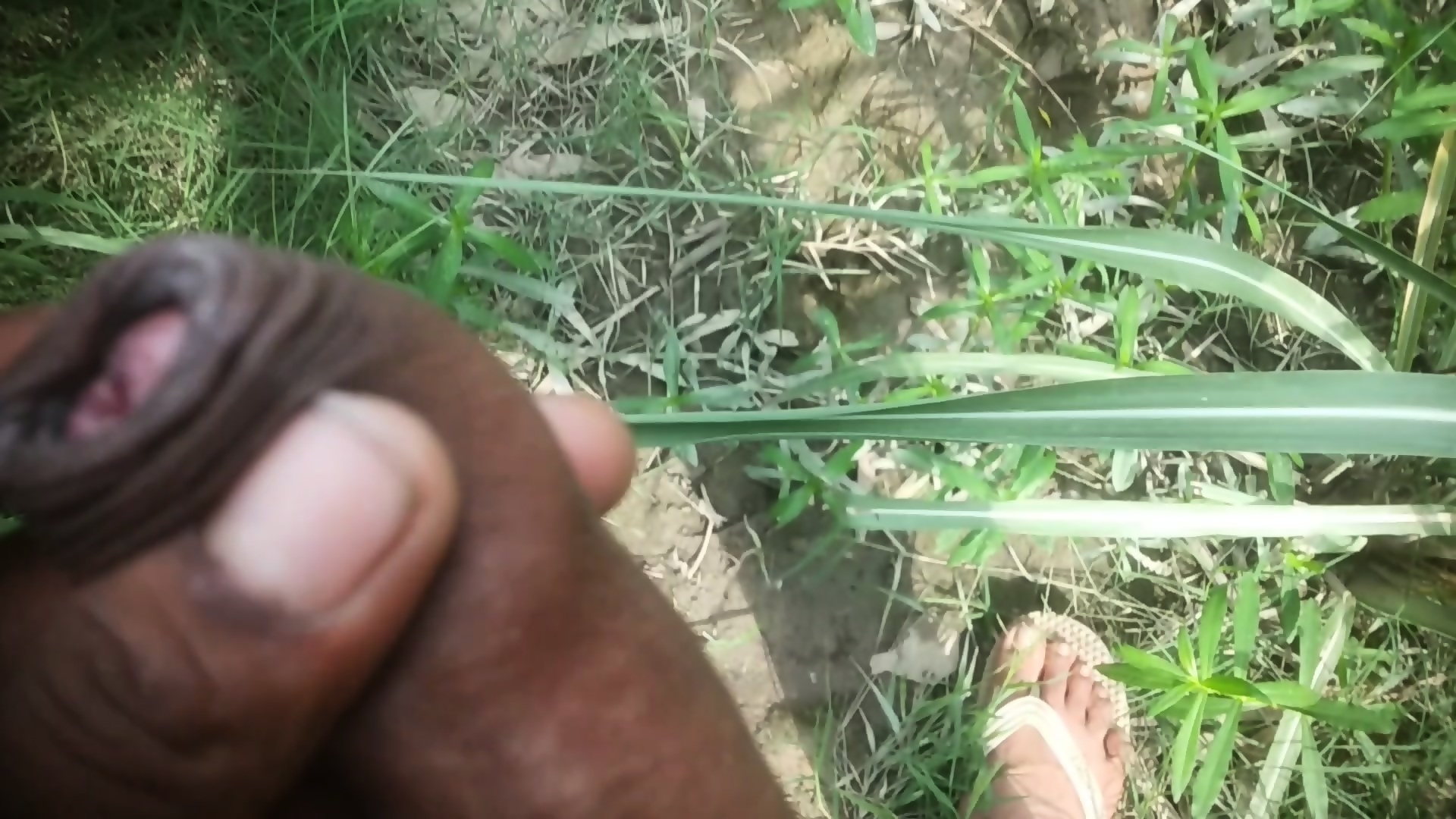 Mota Lund Hindi Sex Video Eporner
