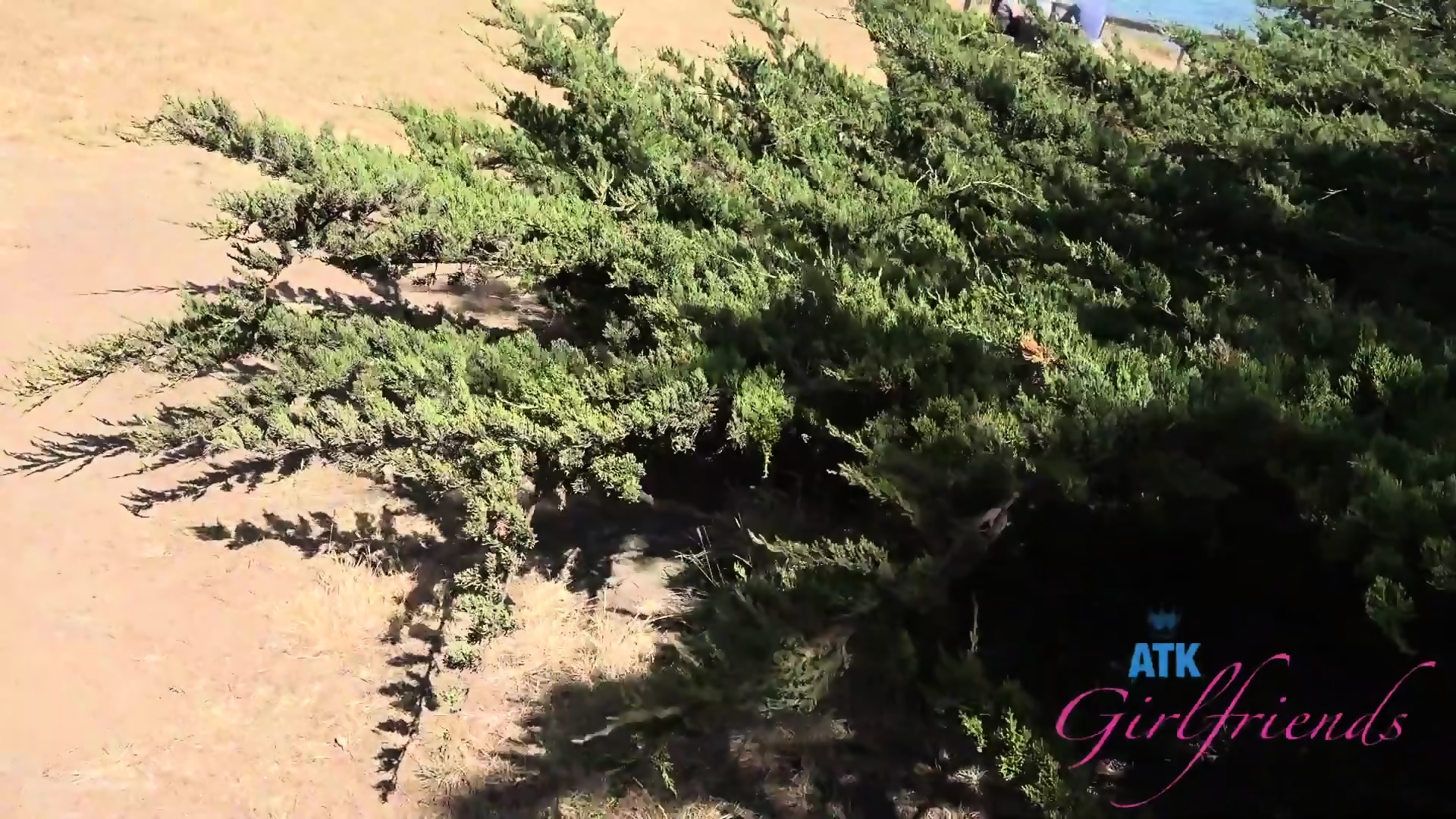 Vacation Fun W Serena Hill Exploring The Coast And Her Pretty Pussy