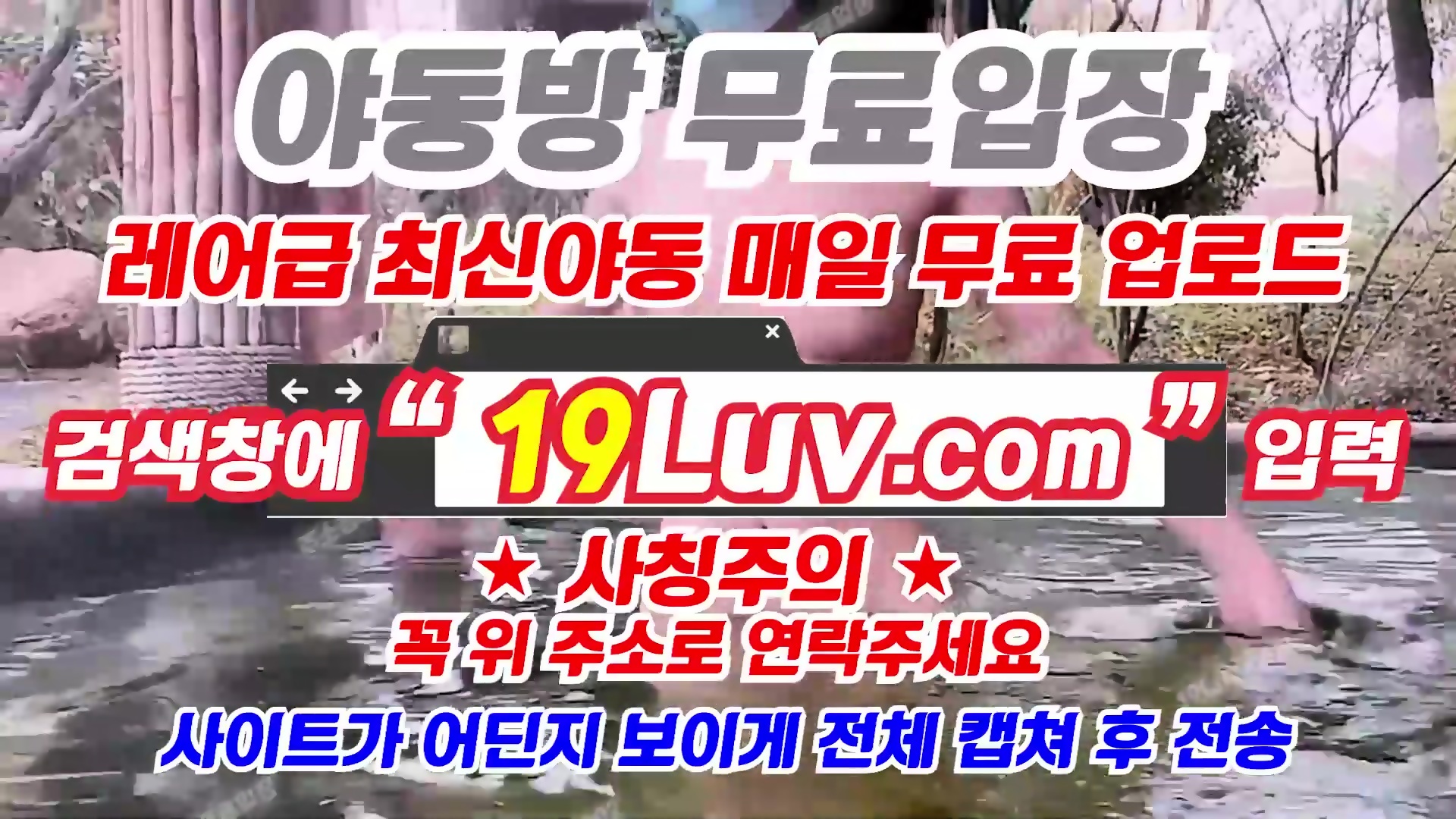 3564 틱톡 80만 인플루언서 Dadibabao 슬랜더 개꼴림 Korean 텔레 Ube892 Eporner