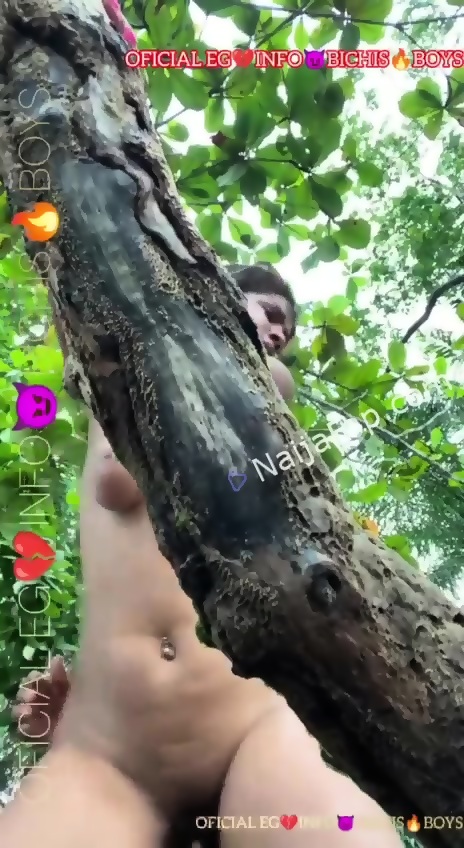 Business Man Eporner