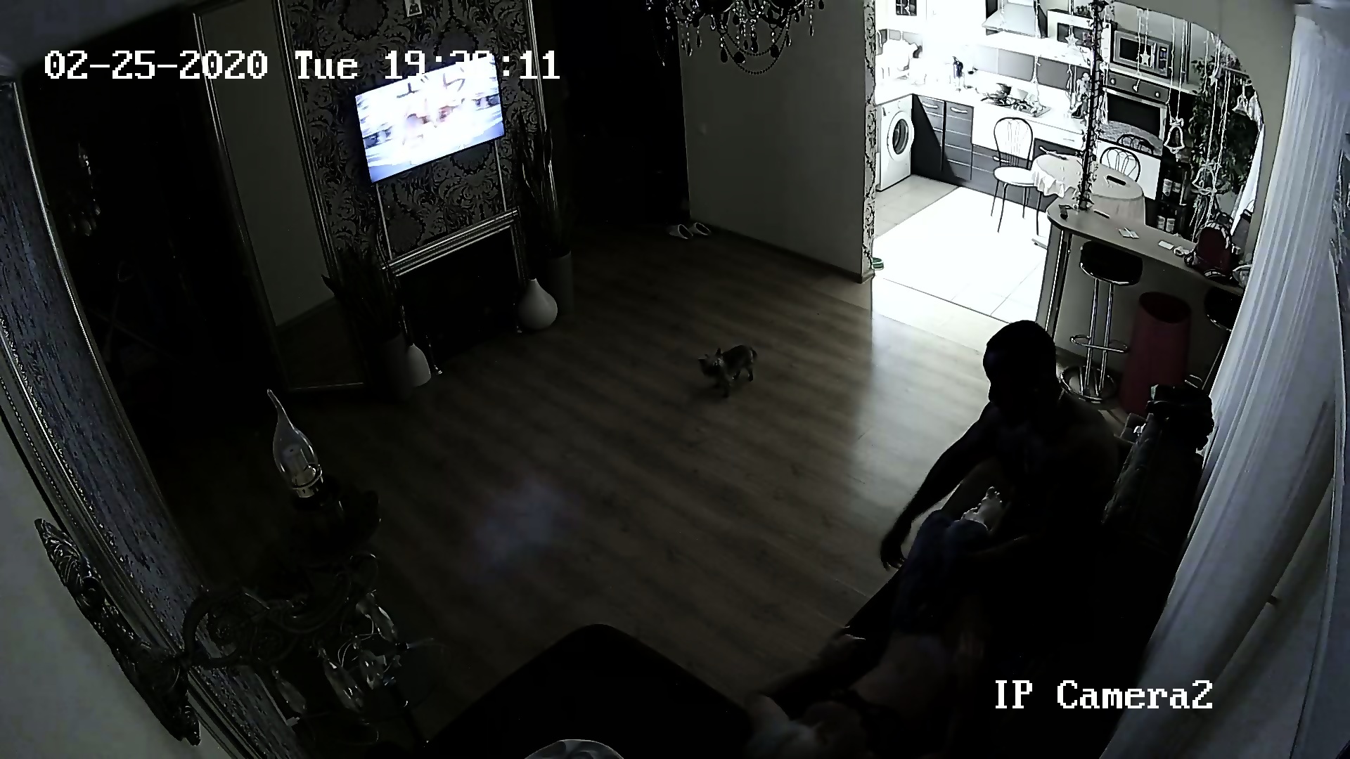 VIPCC IPCAM 0011 - EPORNER