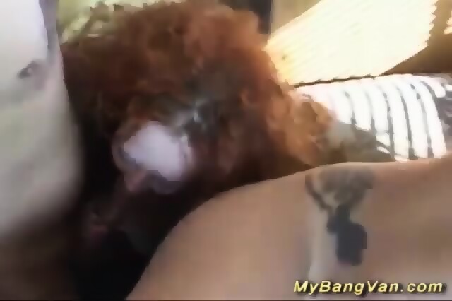 Wild Double Penetration Bang Van Orgy Eporner