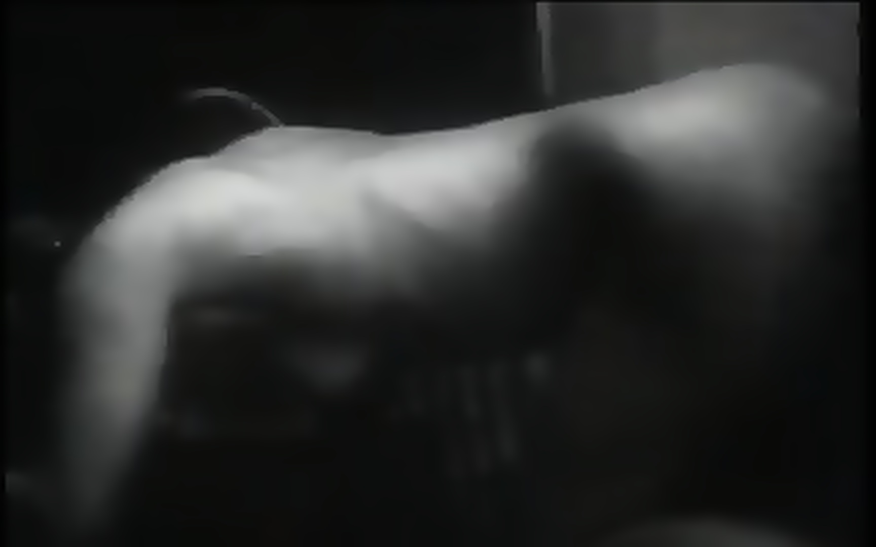 Experienced Sex Toy Experienced Issues Eporner