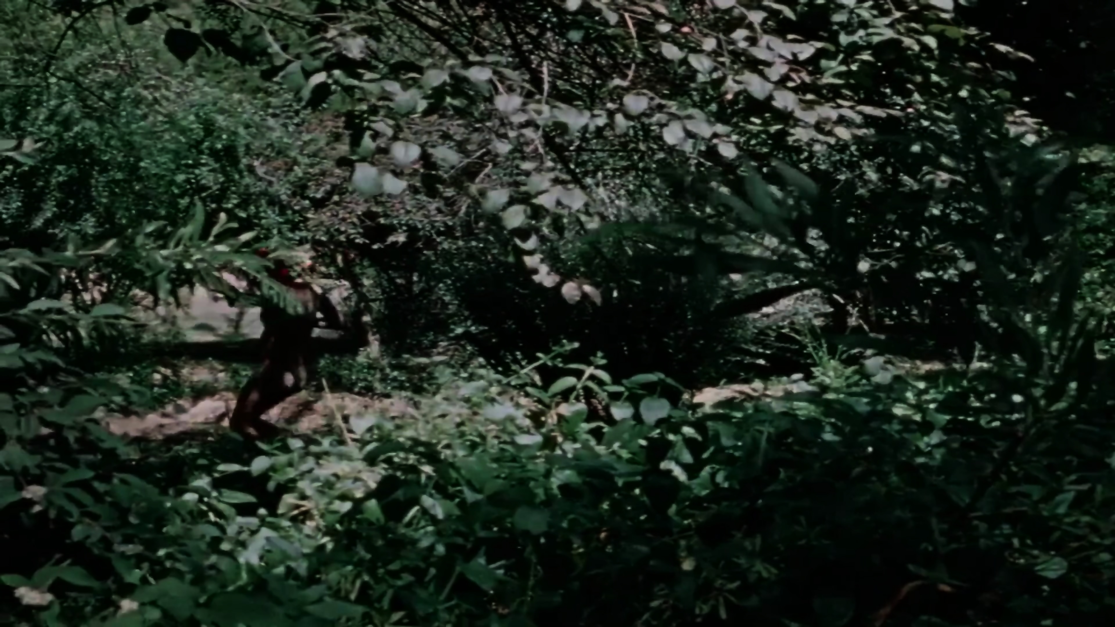 Vintage 5 Part 2 Eporner