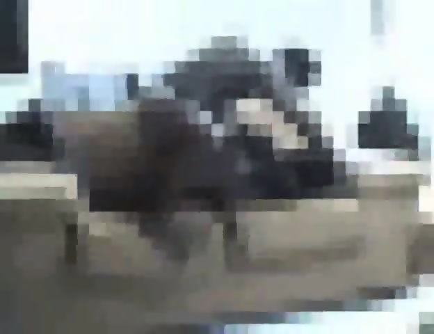 Couch Action Eporner 