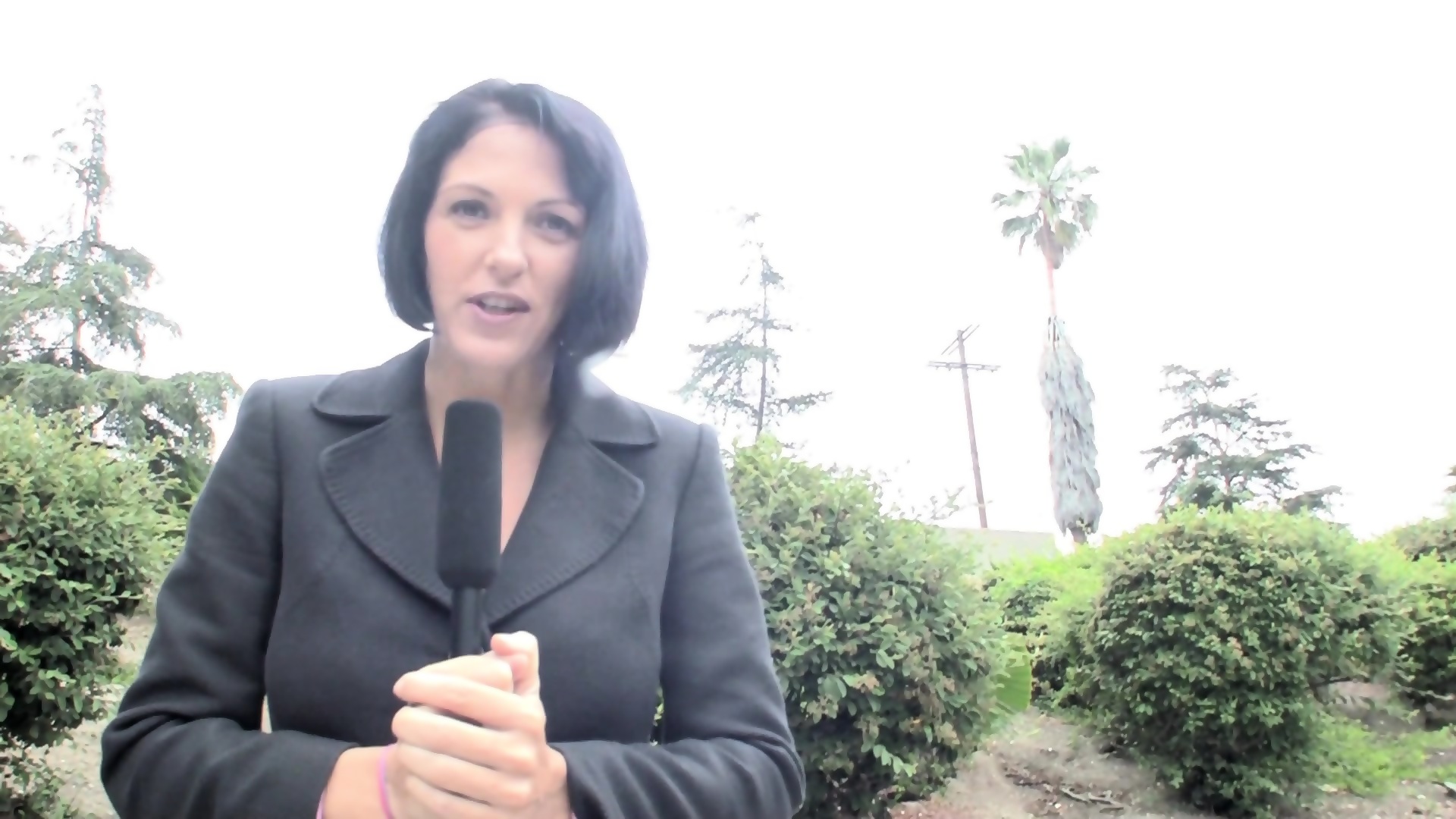 Reporter Wants To Fuck For Celebrity Eporner
