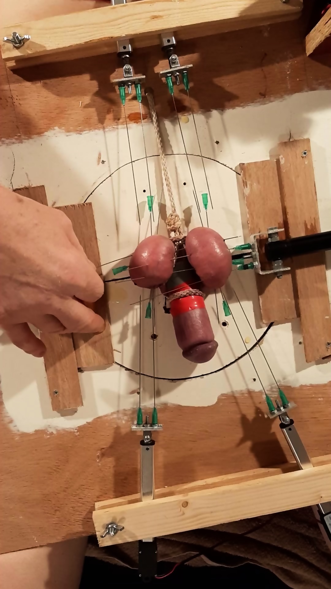 Needle Balls 6b Eporner