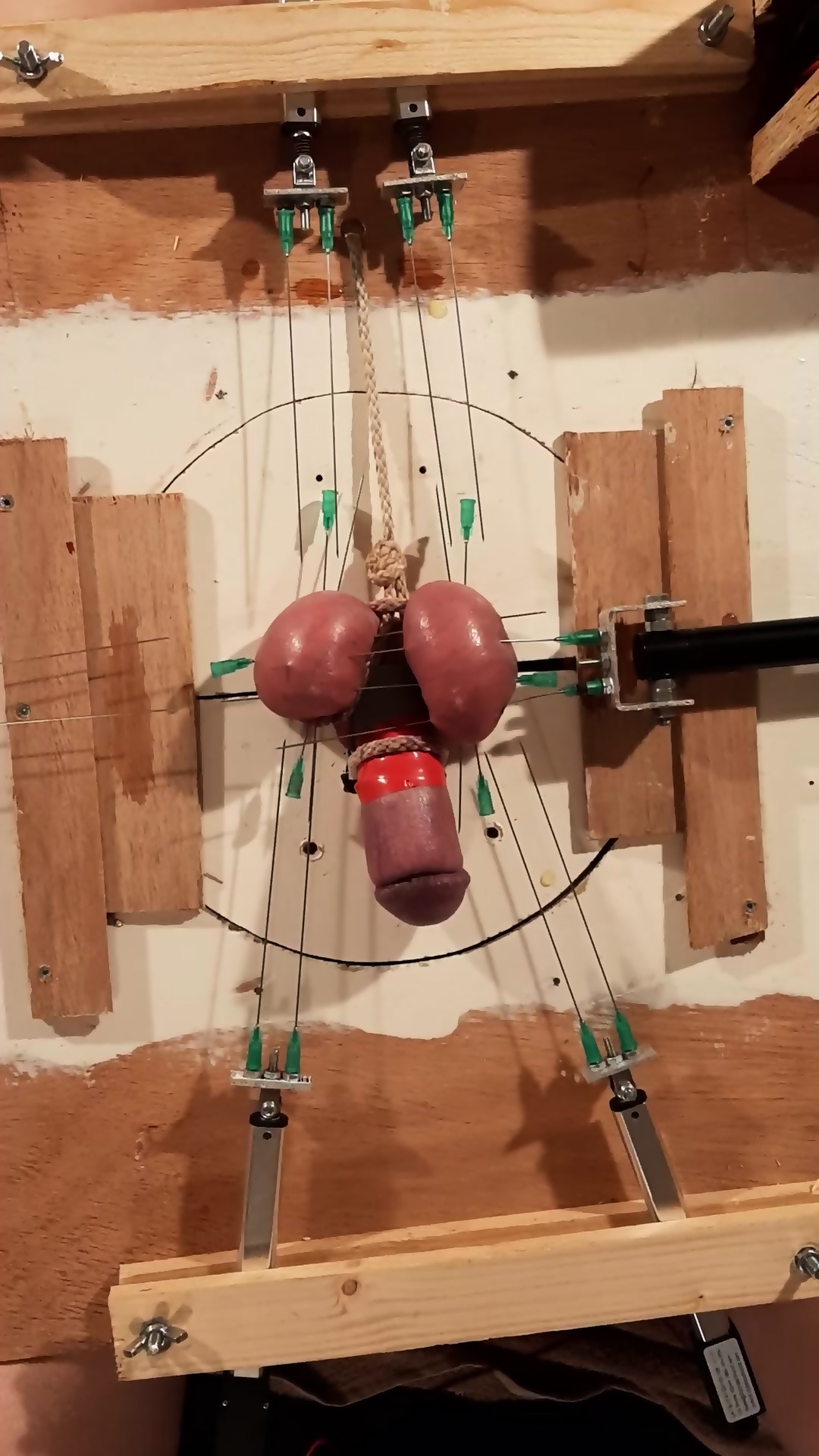 Needle Balls 6b Eporner