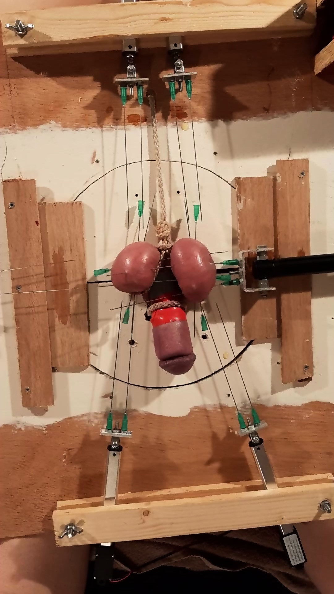 Needle Balls 6b Eporner
