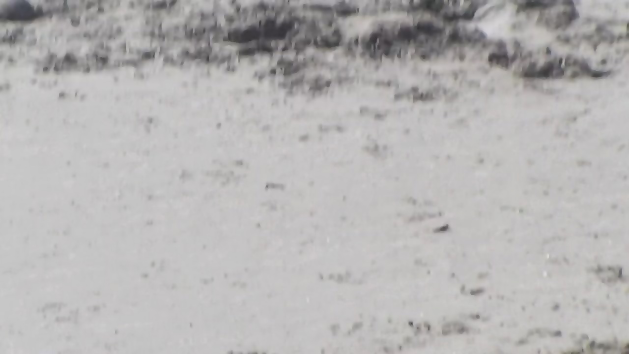 Beach Girl 195 Eporner