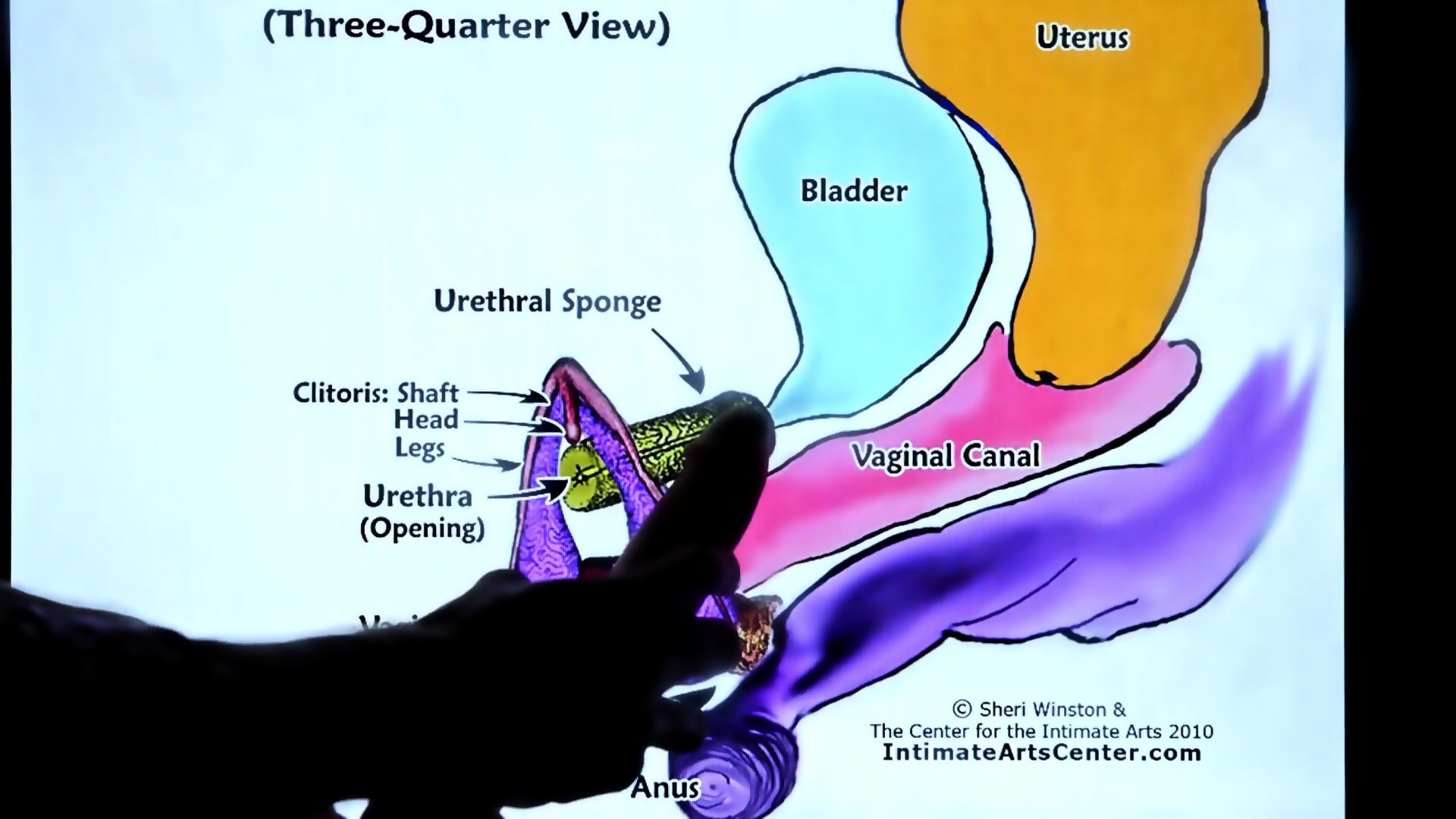 Squirting Tutorial All Posses Eporner