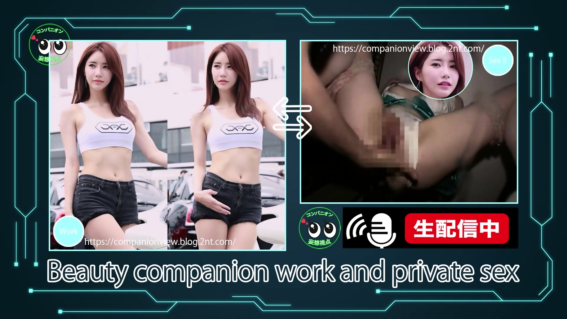 Beauty Companion Work And Private Sex Eporner