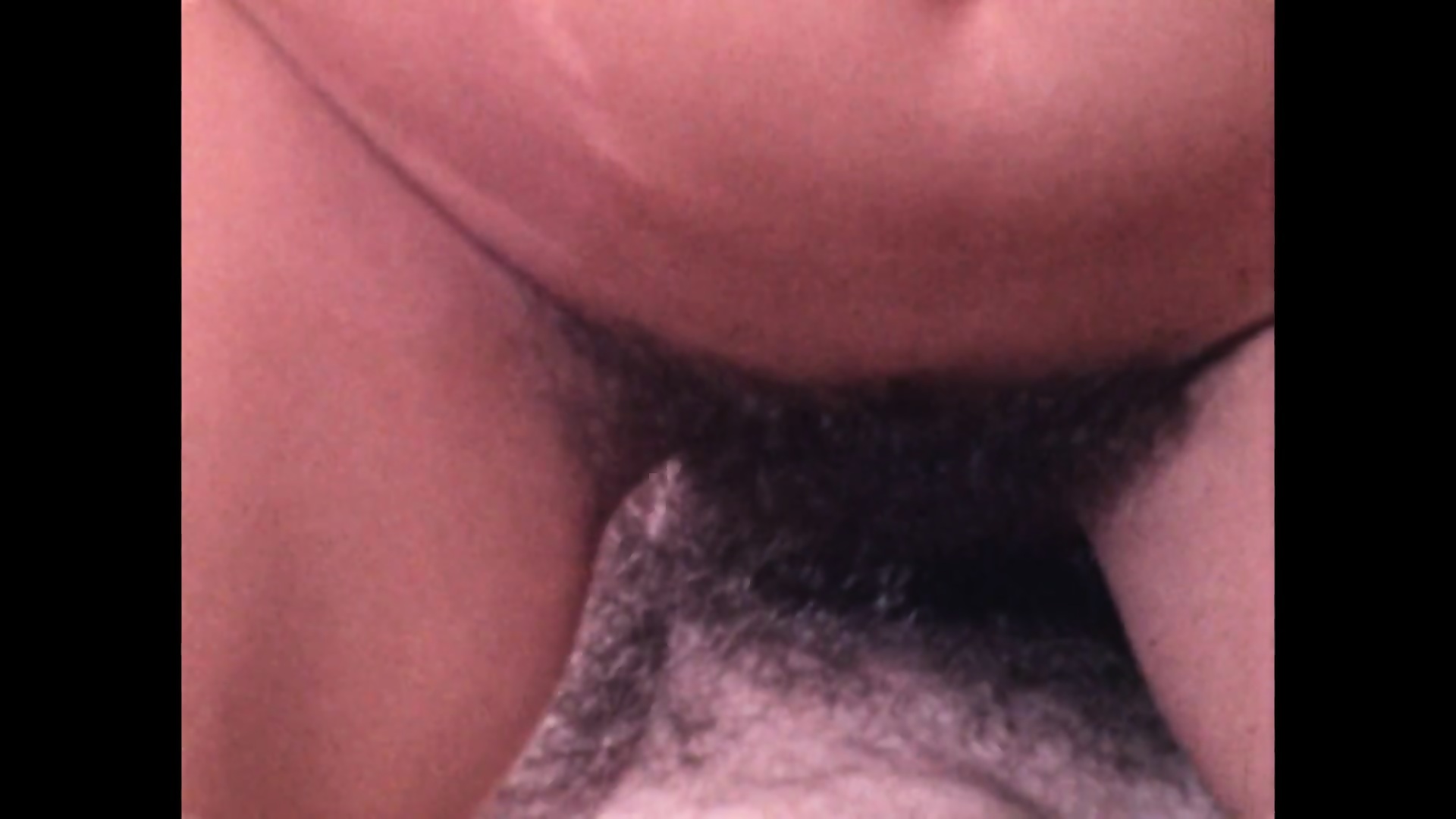 John Holmes Eporner 2822