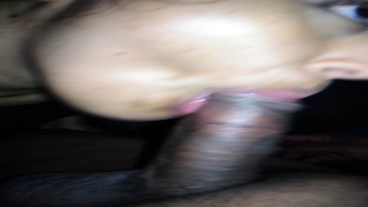 Squeak Eporner