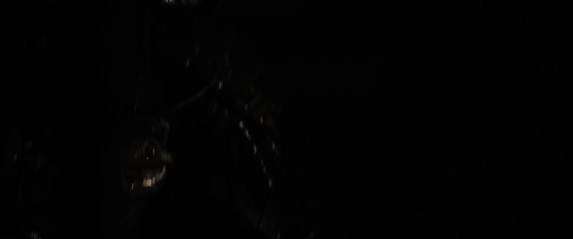 Aliens Vs Predator Requiem2007 Eporner