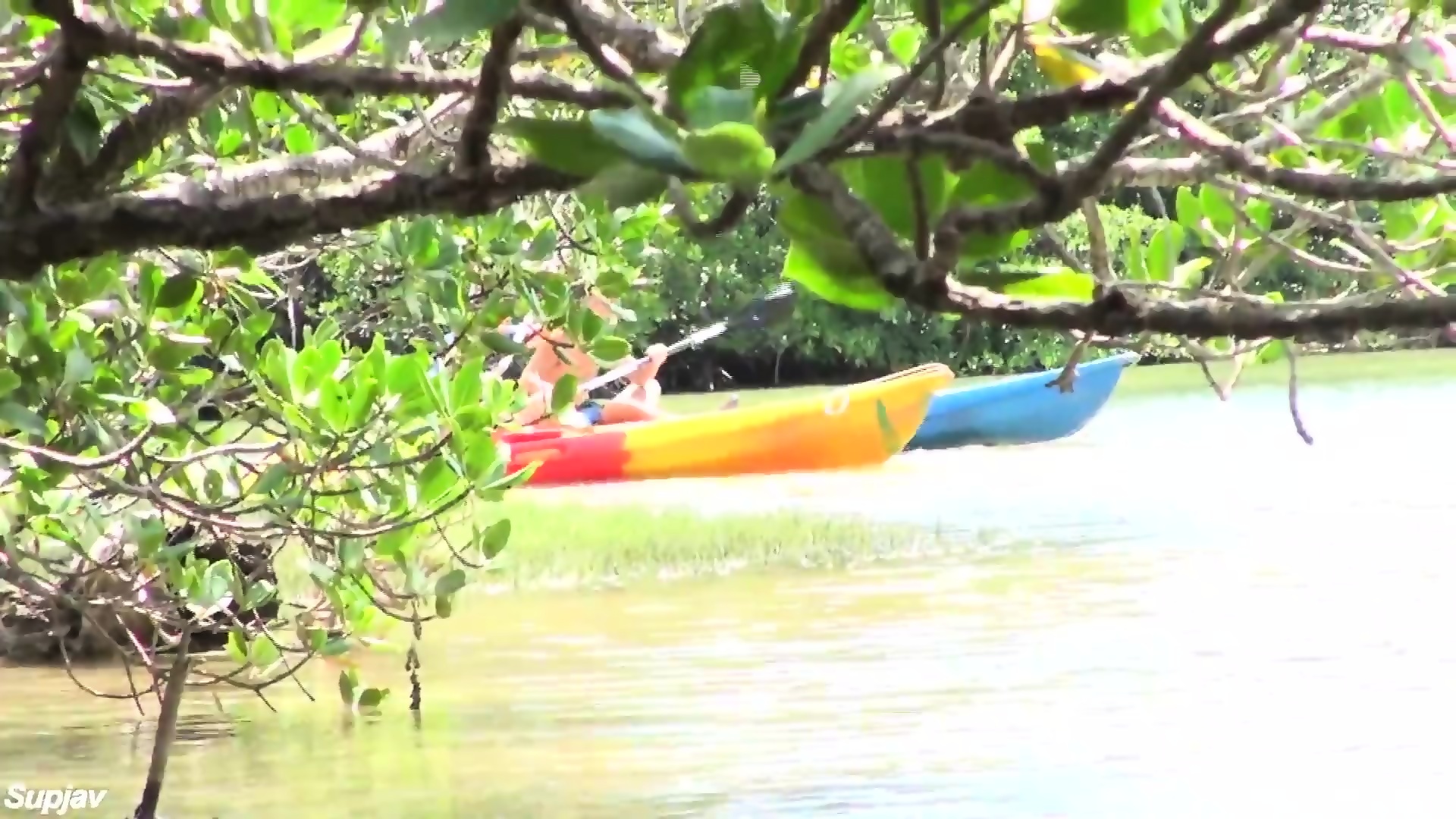 Outdoor Sex In A Mangrove Forest A Famous Sightseeing Spot In Okinawa